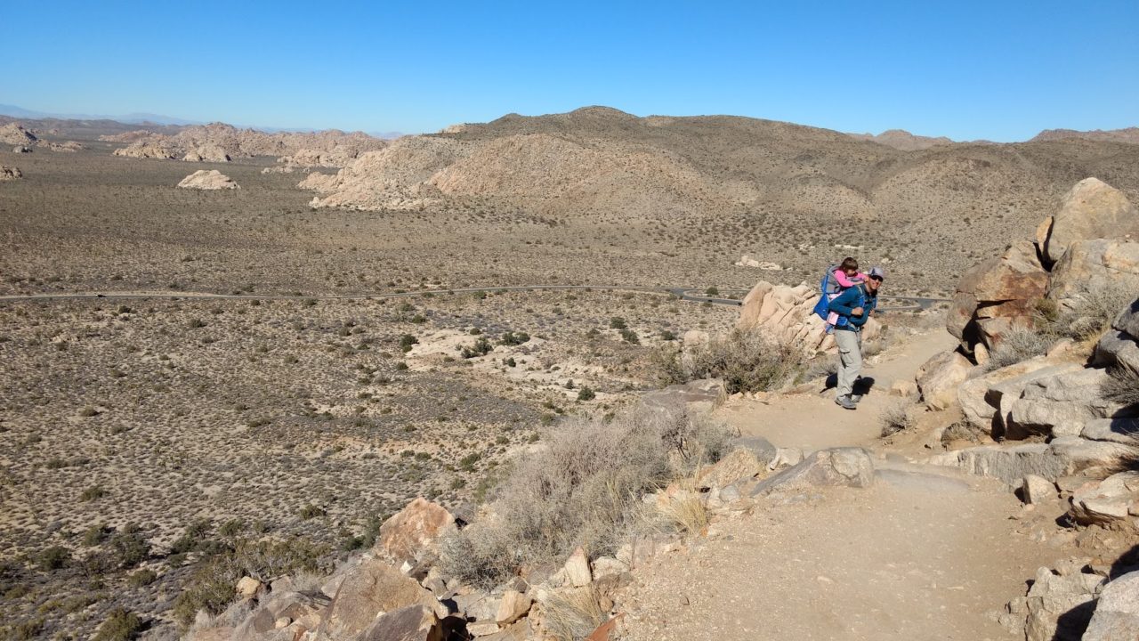 Chapter 11: Joshua Tree – Wicked Wanderers